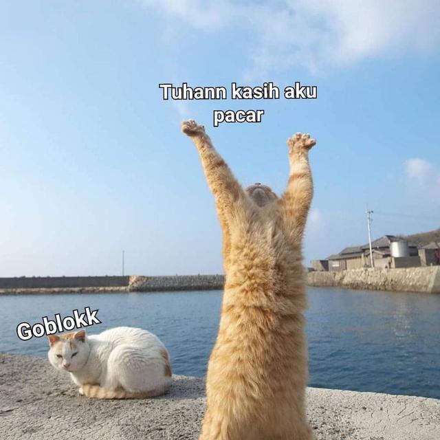 6 Meme Netizen Lihat Pasangan Kekasih Romantis di Medsos Ini Bikin ...