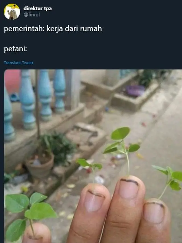 7 Meme Ini Gambarkan Deretan Profesi Saat Harus Jalani Work From Home ...