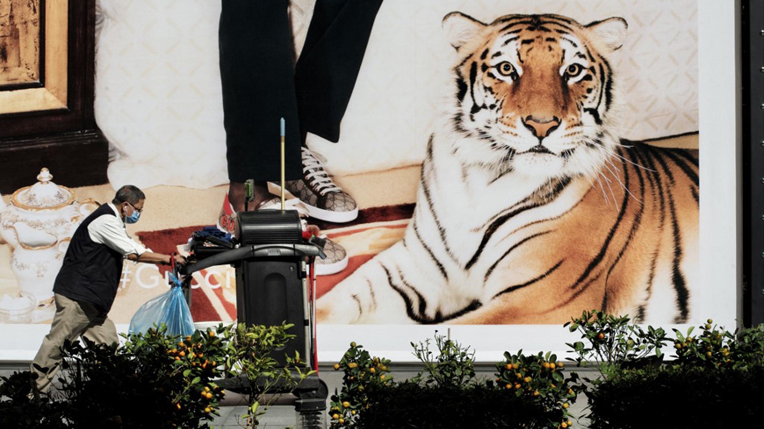 Shio 1998 Adalah Macan dengan Elemen Tanah, Simak Ramalan Keberuntungannya