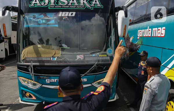 Ciri-ciri Kucing Kena Virus Panleu: Kenali Gejala dan Cara Mengatasinya ...