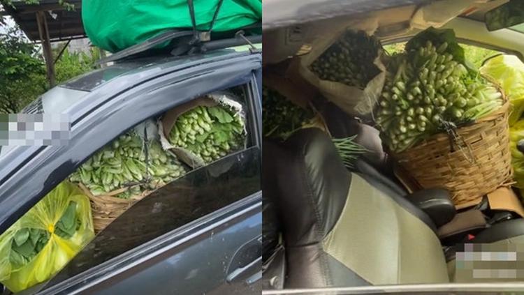 Momen Mobil LCGC Disiksa Angkut Muatan Berlebihan, Kabin Sampai Penuh Sesak Sayuran - Mobil ...