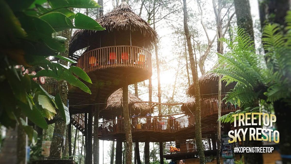 Mengenal Kopeng Treetop Adventure Park, Wisata Menarik untuk Keluarga ...