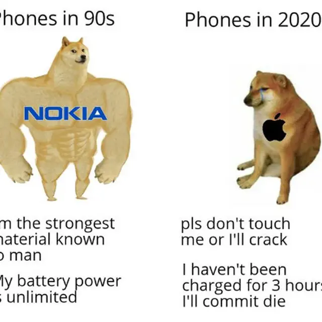 Anjing Shiba Inu Cheems Balltze yang Populer Sebagai Meme Mati di Usia ...