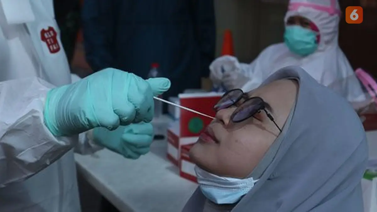 Berita Surat PCR Palsu Hari Ini - Kabar Terbaru Terkini | Liputan6.com