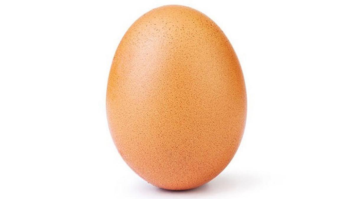 Pemilik Akun Instagram Telur dengan Like Terbanyak Mulai Terungkap, Siapa?