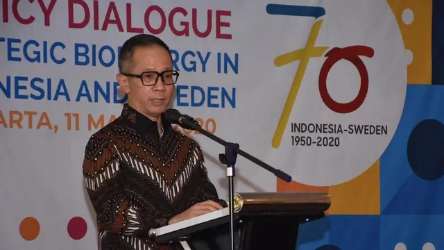 Profil Mahendra Siregar, Mantan Wamenkeu yang Kini Pimpin OJK - Bisnis ...