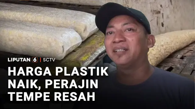 Berita Harga Plastik Naik Hari Ini - Kabar Terbaru Terkini | Liputan6.com