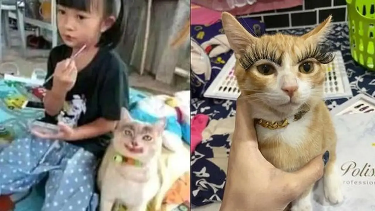6 Tingkah Absurd Bocah Bareng Kucing Ini Bikin Tepuk Jidat - Hot ...