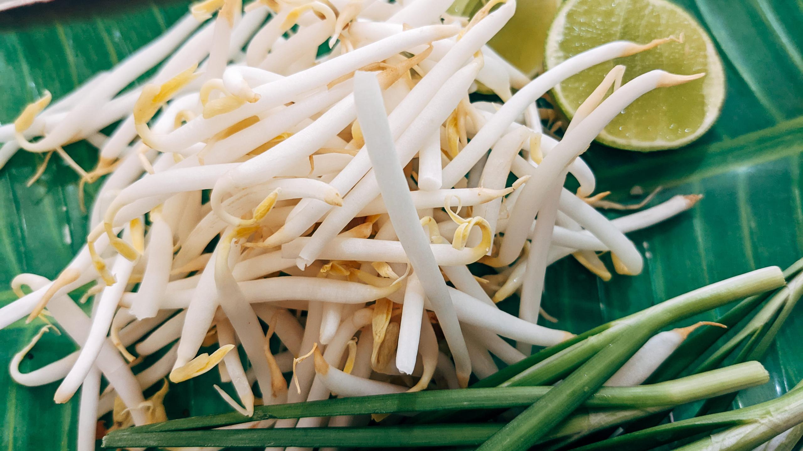 11 Resep Sayur Tauge Praktis dan Lezat untuk Menu Sehari-hari