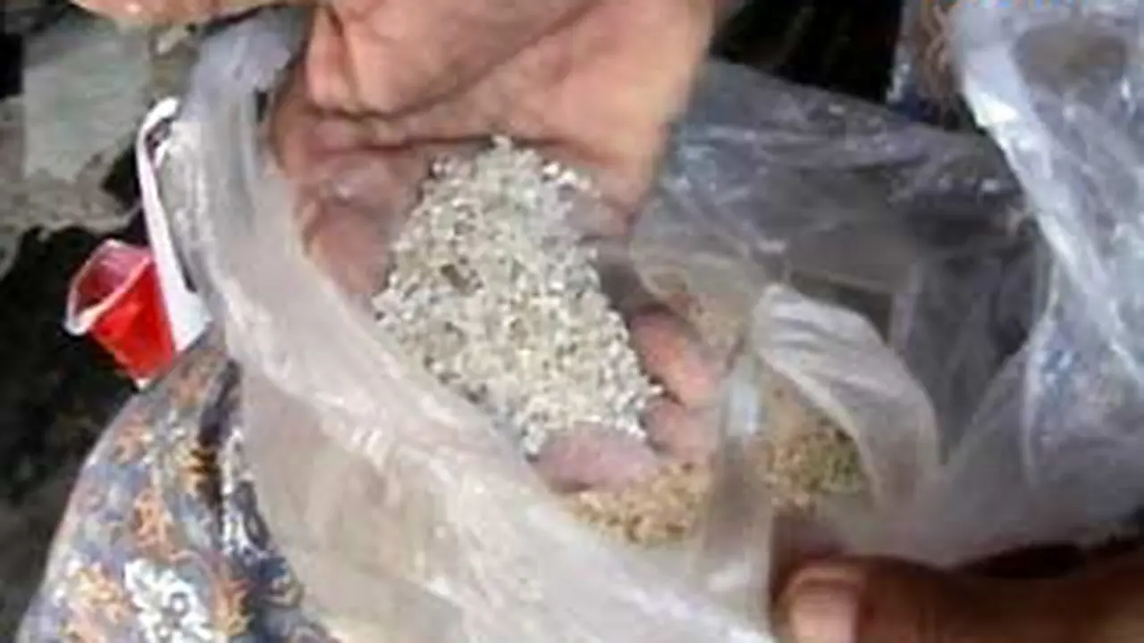 Sekelompok Warga Serang Konsumsi Beras Berkutu - News Liputan6.com