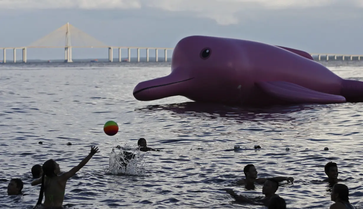 Ada 'Lumba-lumba Pink' Mengapung di Pantai - Foto Liputan6.com