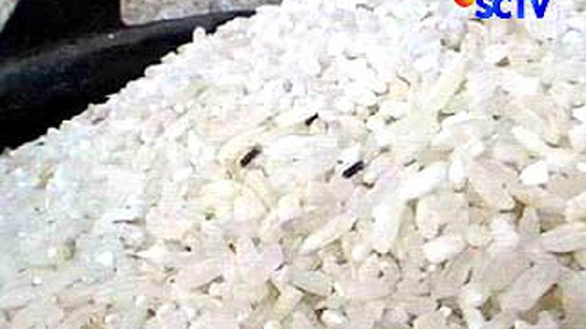 Beras Berkutu, Operasi Pasar Sepi Pembeli - News Liputan6.com