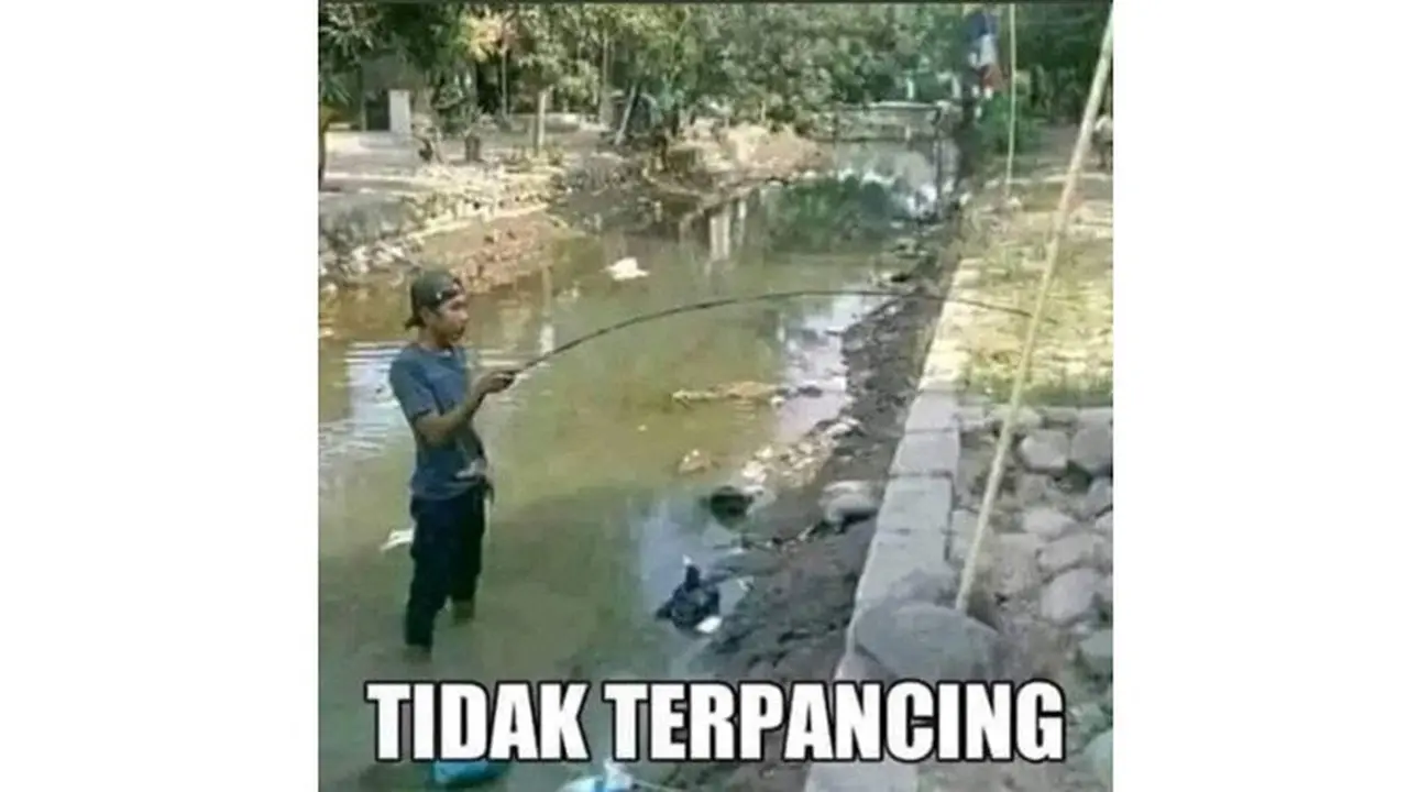 8 Meme Benar Tapi Salah Ini Kocak, Ampuh Bikin Ketawa - Hot Liputan6.com