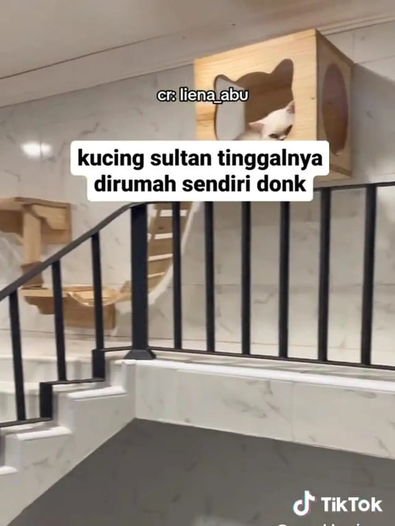7 Potret Rumah Kucing Bak Istana Sultan Ini Bikin Iri, Mewah Ada CCTV ...