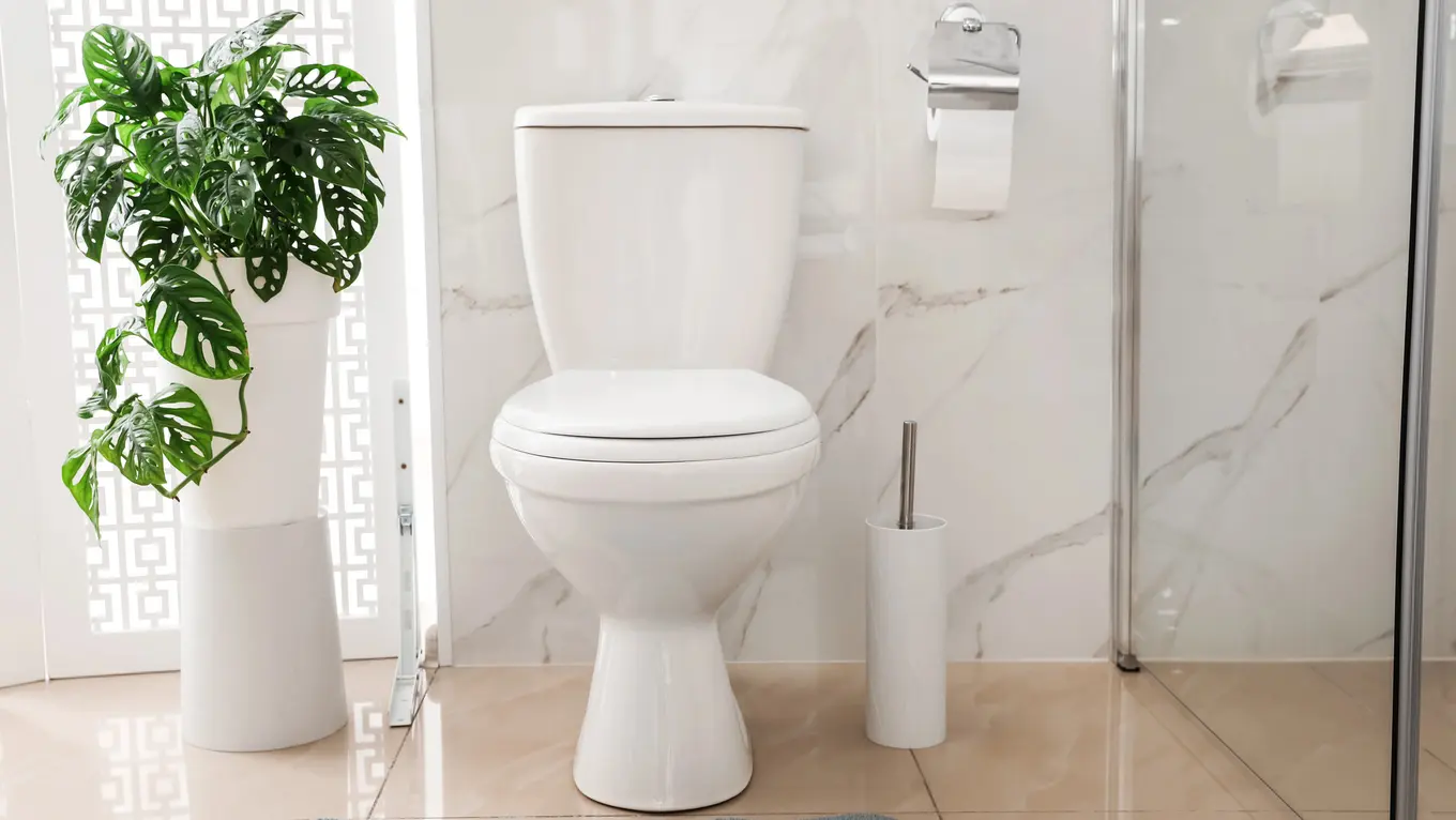 Ide Toilet Minimalis dengan Desain Estetik yang Bisa Ditiru