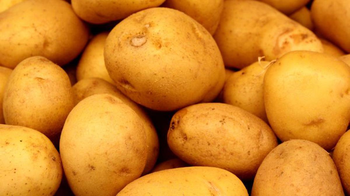 Masih Muda Sudah Beruban? Samarkan Dengan Kulit Kentang - Lifestyle ...