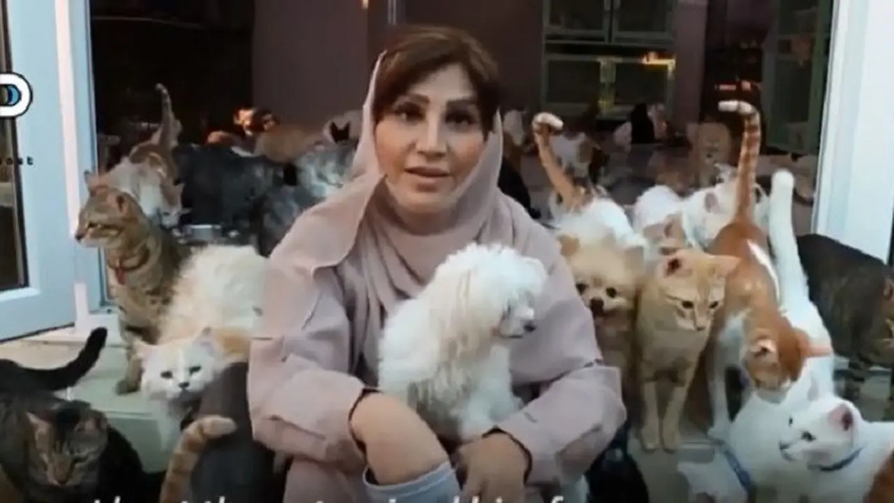 Pencinta Hewan Asal Oman Berbagi Rumah dengan 480 Kucing dan 12 Anjing ...