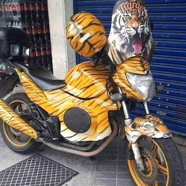 10 Potret Windshield Motor Segede Gaban Ini Bikin Melongo, Dijamin ...