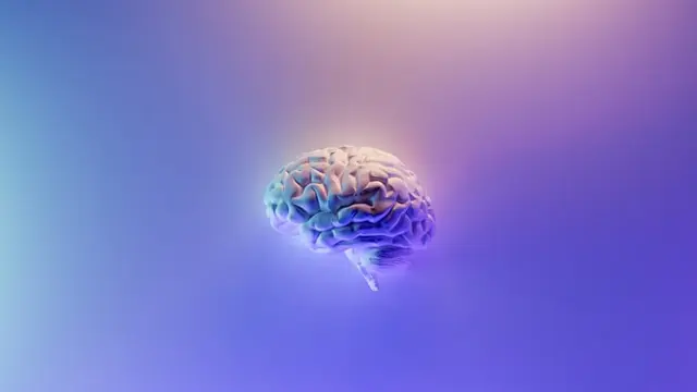 Penyebab Stroke, Jenis, Gejala, dan Pencegahannya yang Perlu Diketahui ...