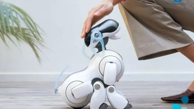 Robot Anjing Rusak, Warga Jepang Rela Buat Upacara Pemakaman - Tekno ...