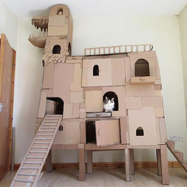 10 Potret Miniatur Rumah Kucing Terbuat dari Kardus, Hasilnya Kelewat ...