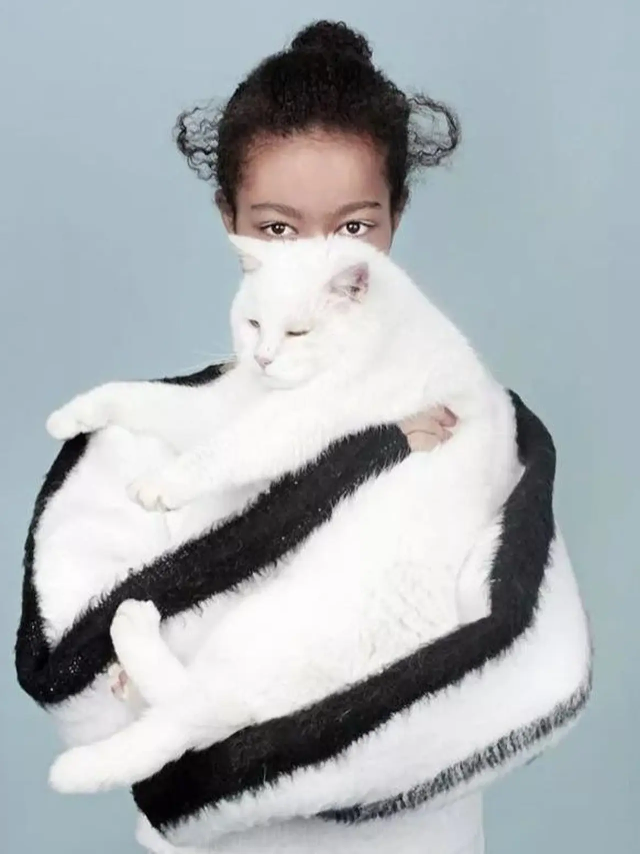 6 Ilusi Optik Kucing dengan Cewek Ini Bikin Lihat Dua Kali, Ada yang ...