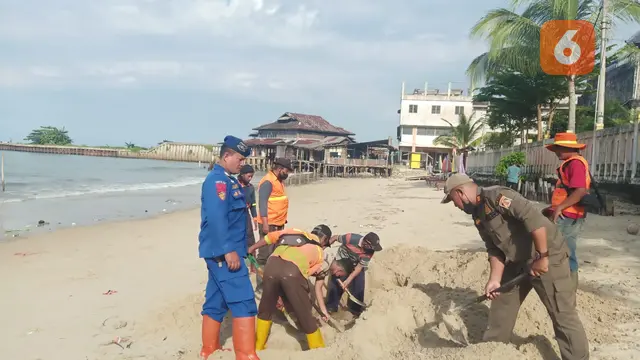 Geger, Bangkai-Bangkai Sapi Berceceran di Pesisir Pantai Balikpapan ...