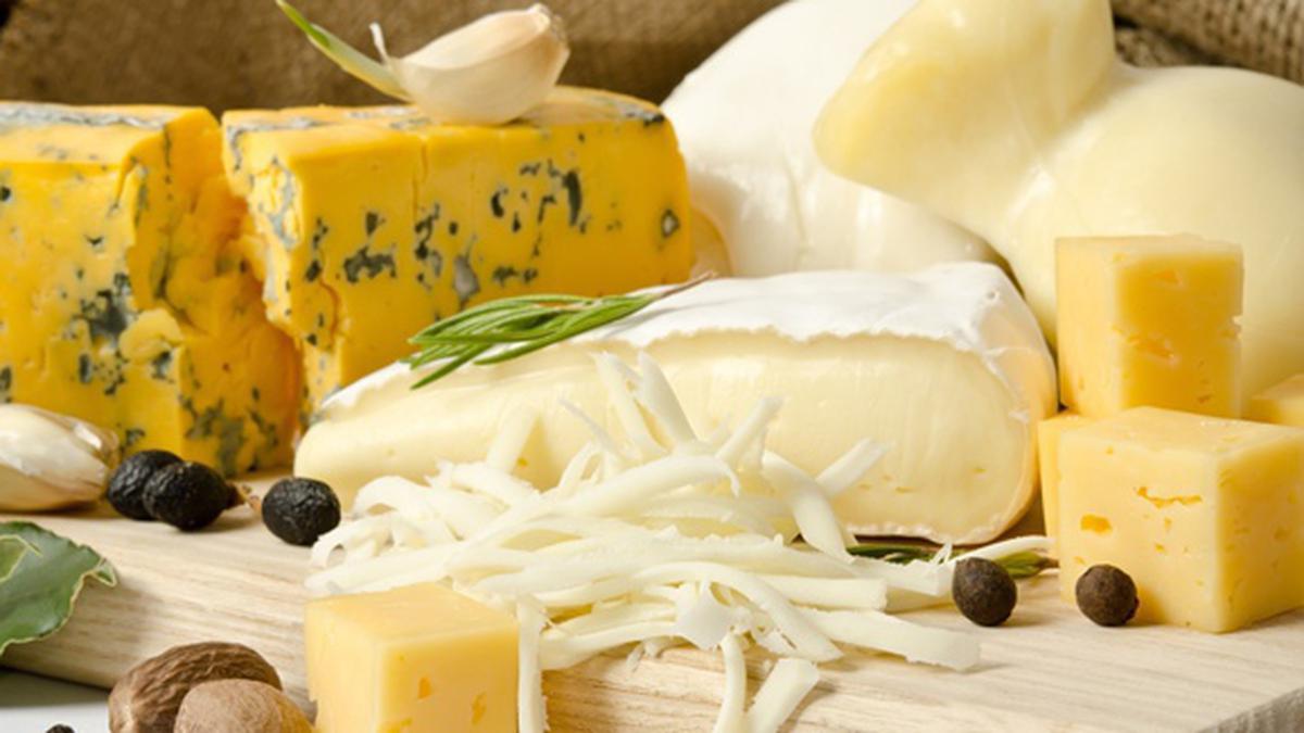 Supaya Keju Tak Berjamur, Simpan dengan Cara Ini!