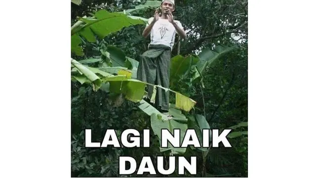 8 Meme Benar Tapi Salah Ini Kocak, Ampuh Bikin Ketawa - Hot Liputan6.com