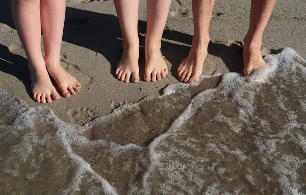 6 Cara Merawat Ikan Cupang, Lakukan dengan Benar - Hot Liputan6.com