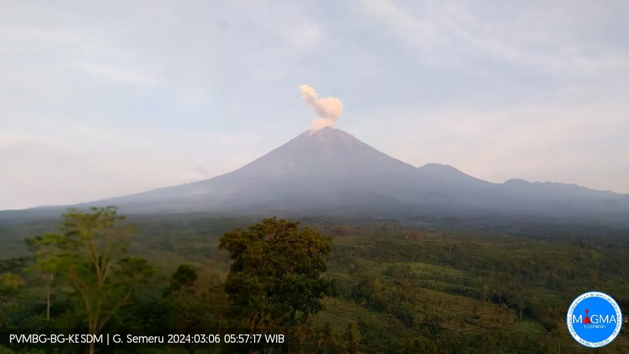 Gunung Semeru Erupsi Rabu Pagi 6 Maret 2024, Kolom Abu Letusan Capai 800 Meter - Regional ...