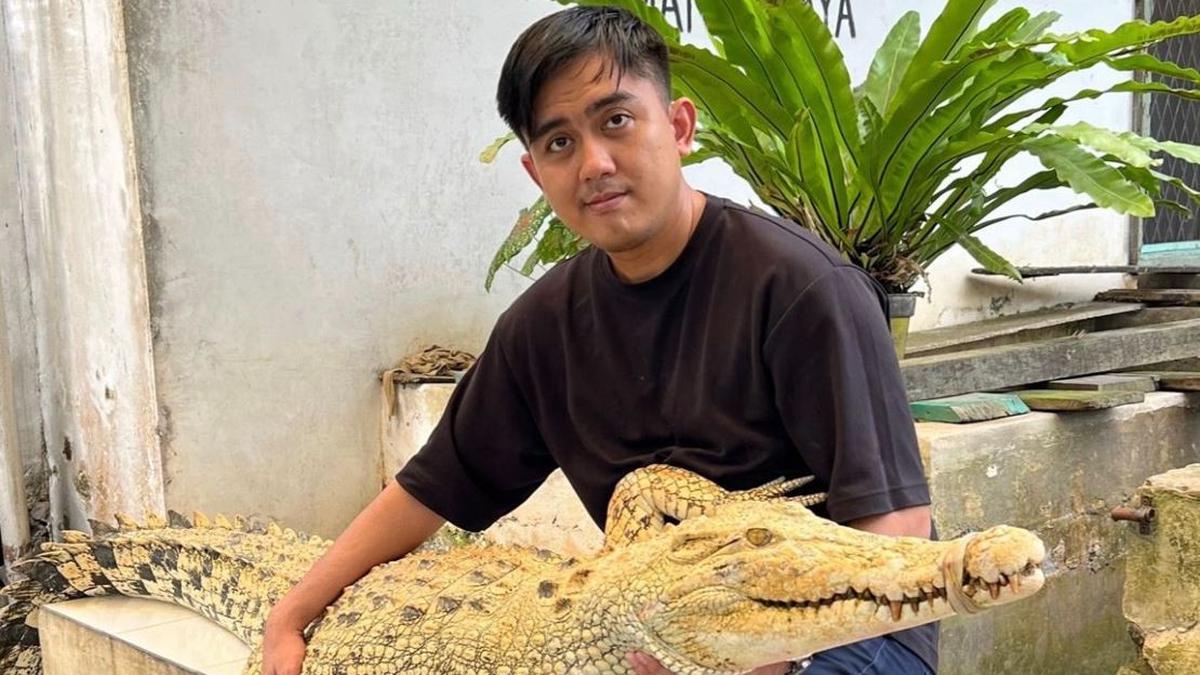 Wildan Mochmaul Dikenal Sebagai Konten Kreator Yang Kerap Bagikan Cara ...