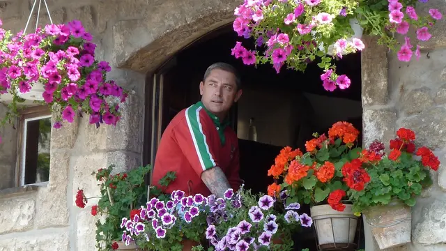 10 Jenis Bunga Hias Gantung yang Cantik, Bikin Rumah Lebih Indah - Hot ...