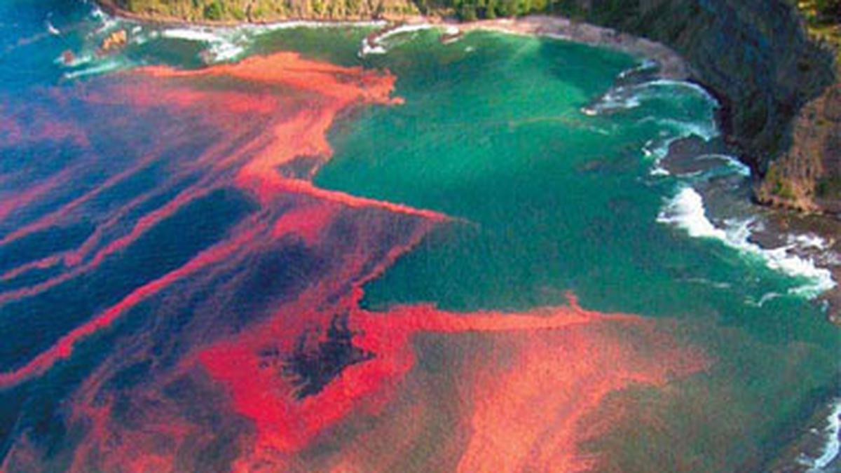 Top 5 Lifestyle: 5 Tempat Ajaib di Dunia Bikin Penasaran - Lifestyle ...