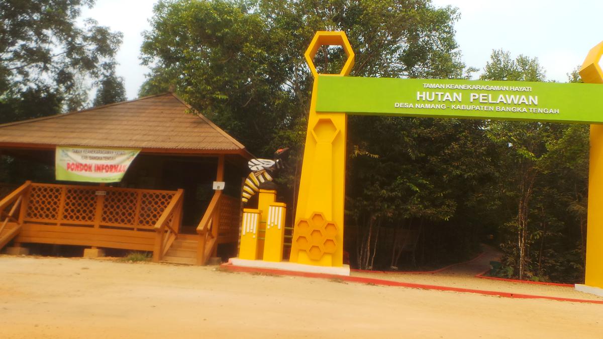 Hutan Pelawan, Surga di Tengah Pulau Timah - Lifestyle Liputan6.com