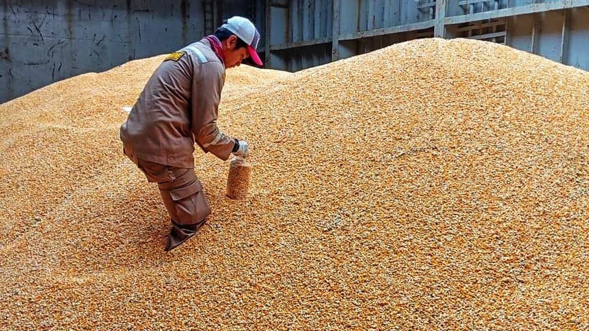 Tren Ekspor Produk Pertanian Meningkat, Karantina Pertanian Dibuka di ...