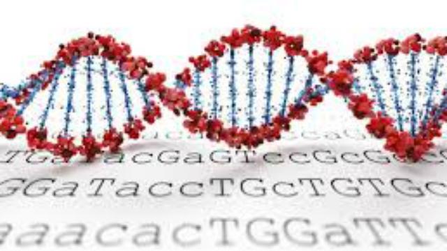DNA Adalah Asam Nukleat untuk Menyimpan Genetika, Pahami Fungsi dan ...