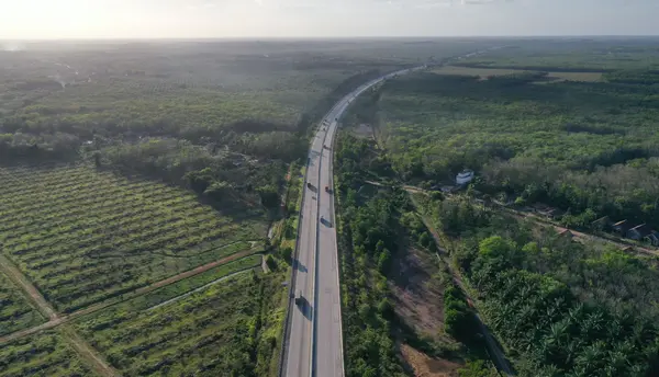Masih Ingat Film Kartun Hachi? Ini Akhir Kisah Mencari Ibu Lebah yang ...