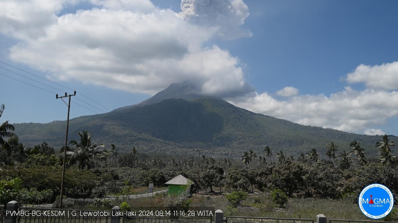 Gunung Lewotobi Laki-Laki Terus Erupsi Setiap Hari, Waspada Sebaran ...