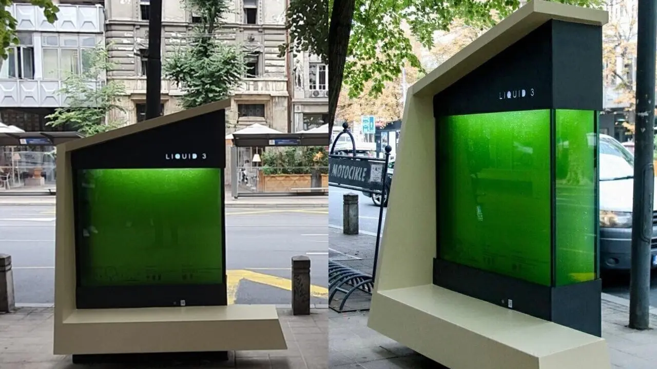 Liquid Tree Inovasi 'Pohon Cair' Unik Serbia Lawan Polusi Udara ...