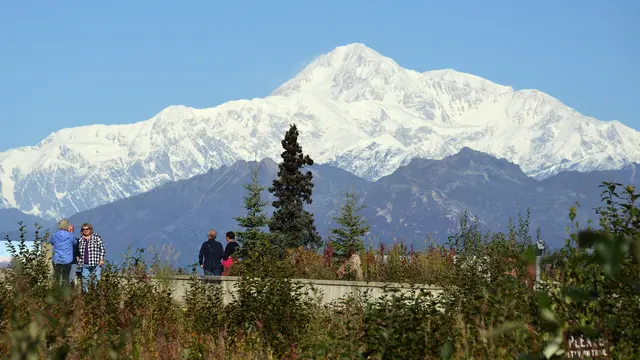6 Fakta Menarik Gunung Denali, Puncak Tertinggi Amerika Utara di Dekat ...