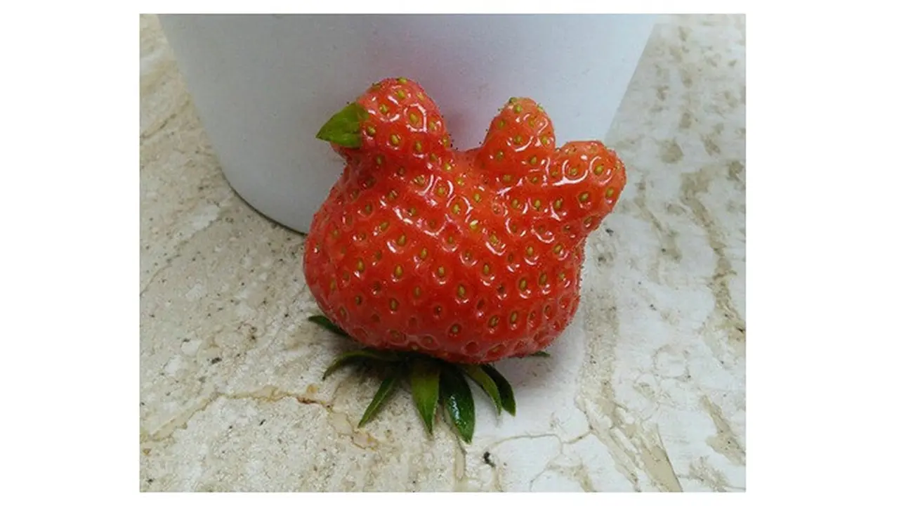 8 Potret Bentuk Sayur dan Buah Ini Unik Banget, Bikin Geleng Kepala ...