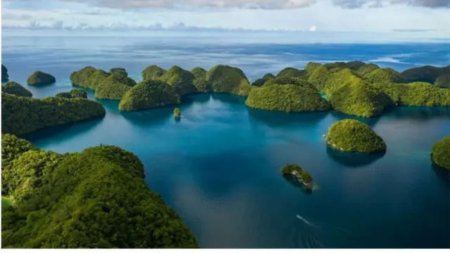 6 Fakta Menarik Negara Palau di Samudera Pasifik, Tetangga Indonesia ...