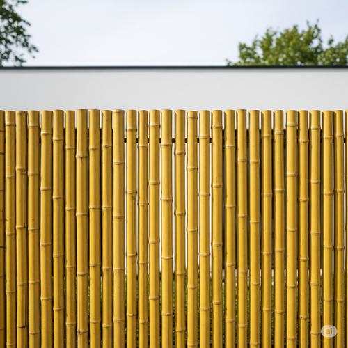 pagar bambu kuning