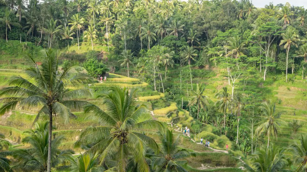 Dicomot Video Promosi Pariwisata Filipina, Ini Keindahan Sawah Berundak ...