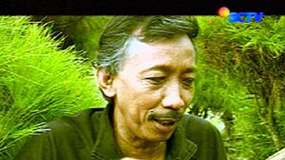 Doyok Sepi Tawaran Job