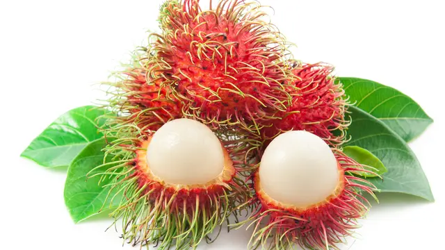 9 Manfaat Biji Rambutan yang Kaya Antioksidan, Ketahui Kandungan ...