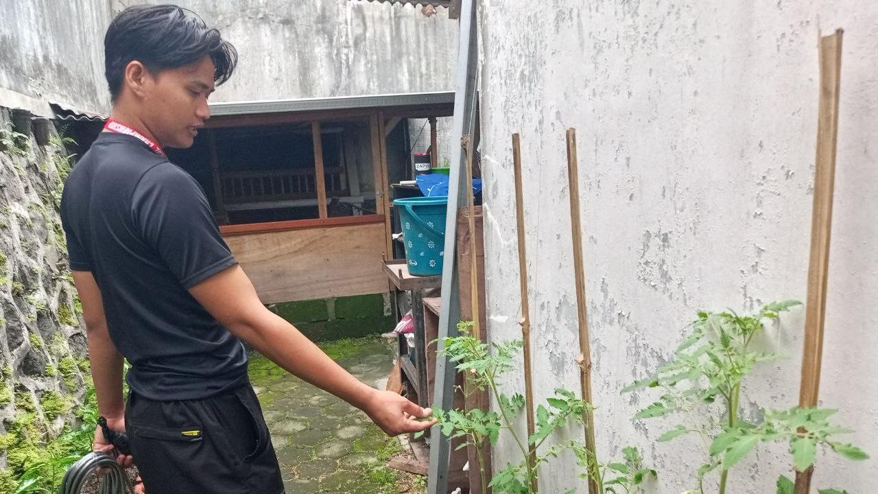 Terapkan Integrated Farming, Rumah di Jogja Wujudkan Ketahanan Pangan ...