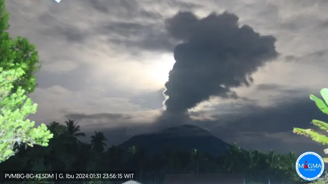 Gunung Ibu Erupsi Lagi, Semburkan Abu Vulkanik Setinggi 2.000 Meter ke Arah Tenggara - Regional ...
