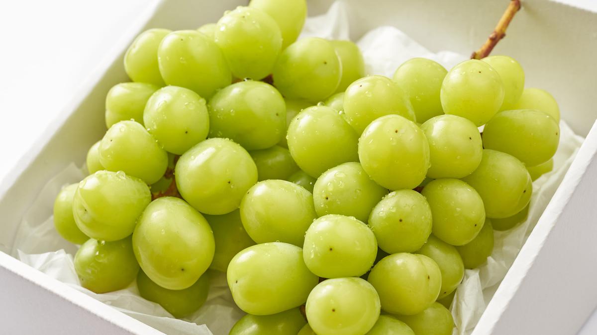 Mengapa Anggur Shine Muscat Mahal? Ini Penyebabnya dan Tips Membelinya